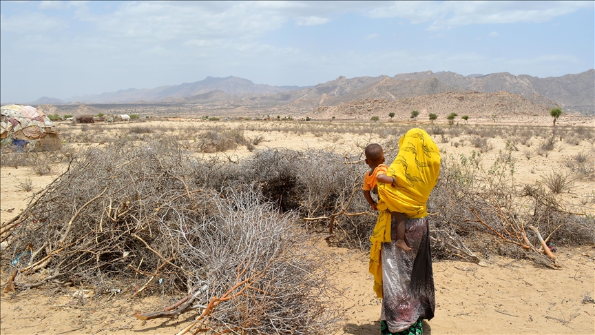 Somalia demands Israel withdraw Somaliland recognition – Heemaal News ...